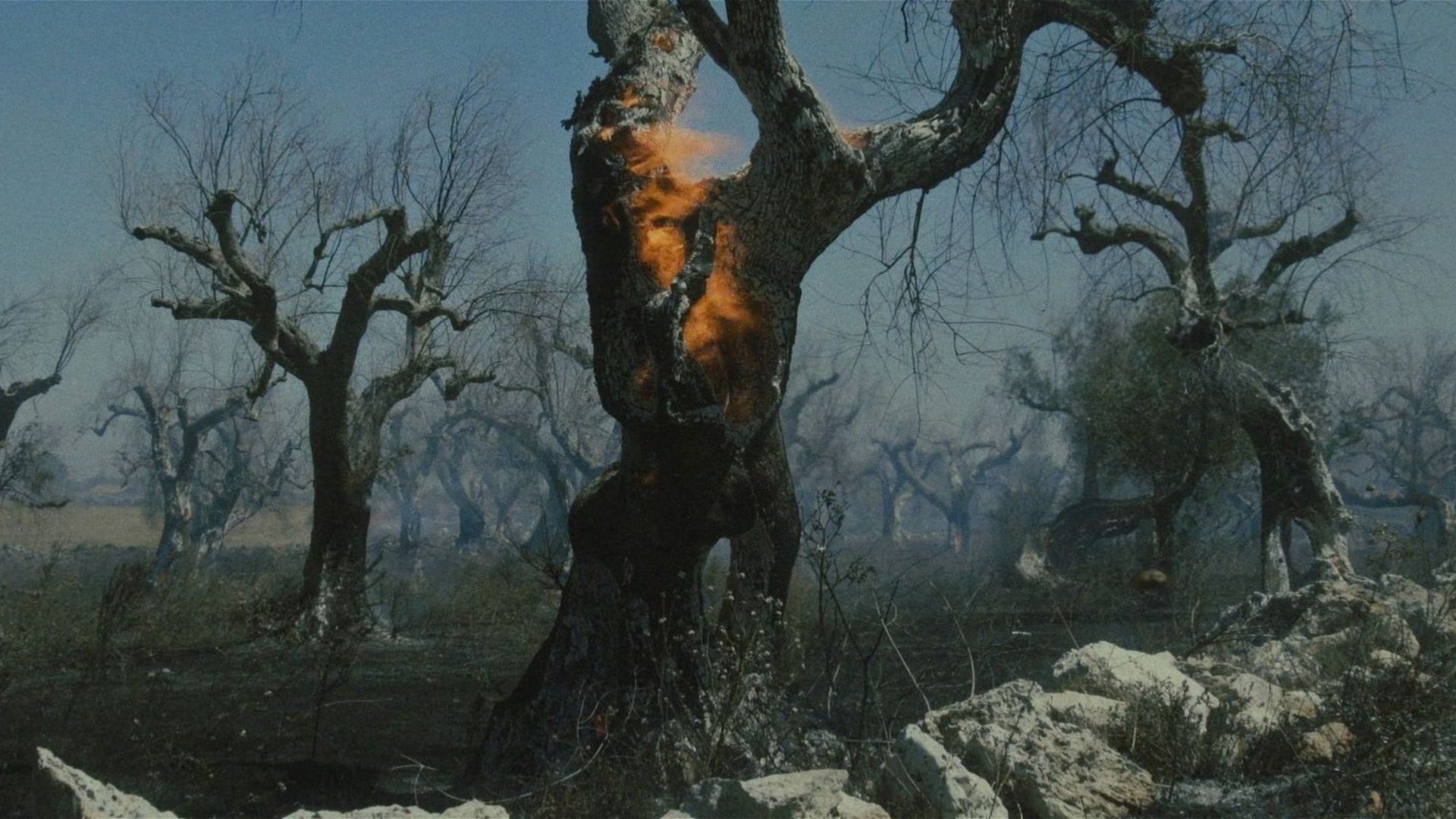 Il Tempo dei Giganti, o quello che ne resta